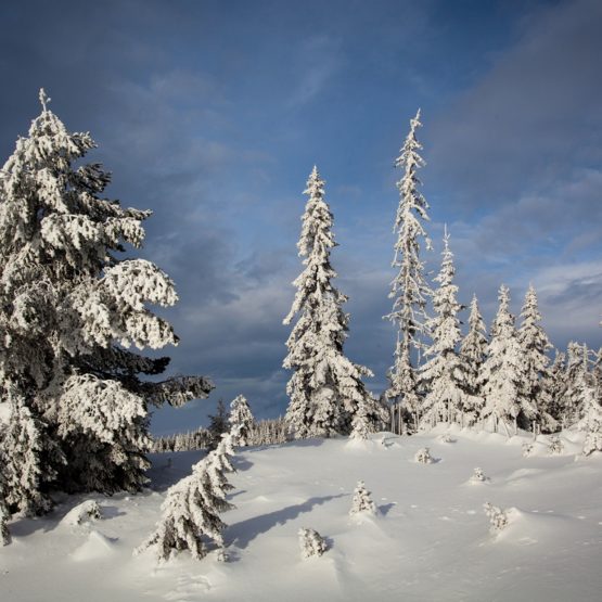 Threadventure 2019: Colorful Skies in Finland - Serendipity Needleworks