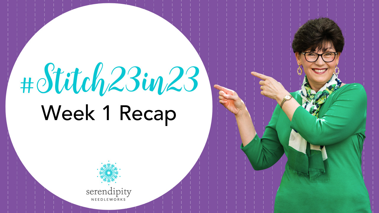 Stitch 23 in 23: Week 1 Recap - Serendipity Needleworks