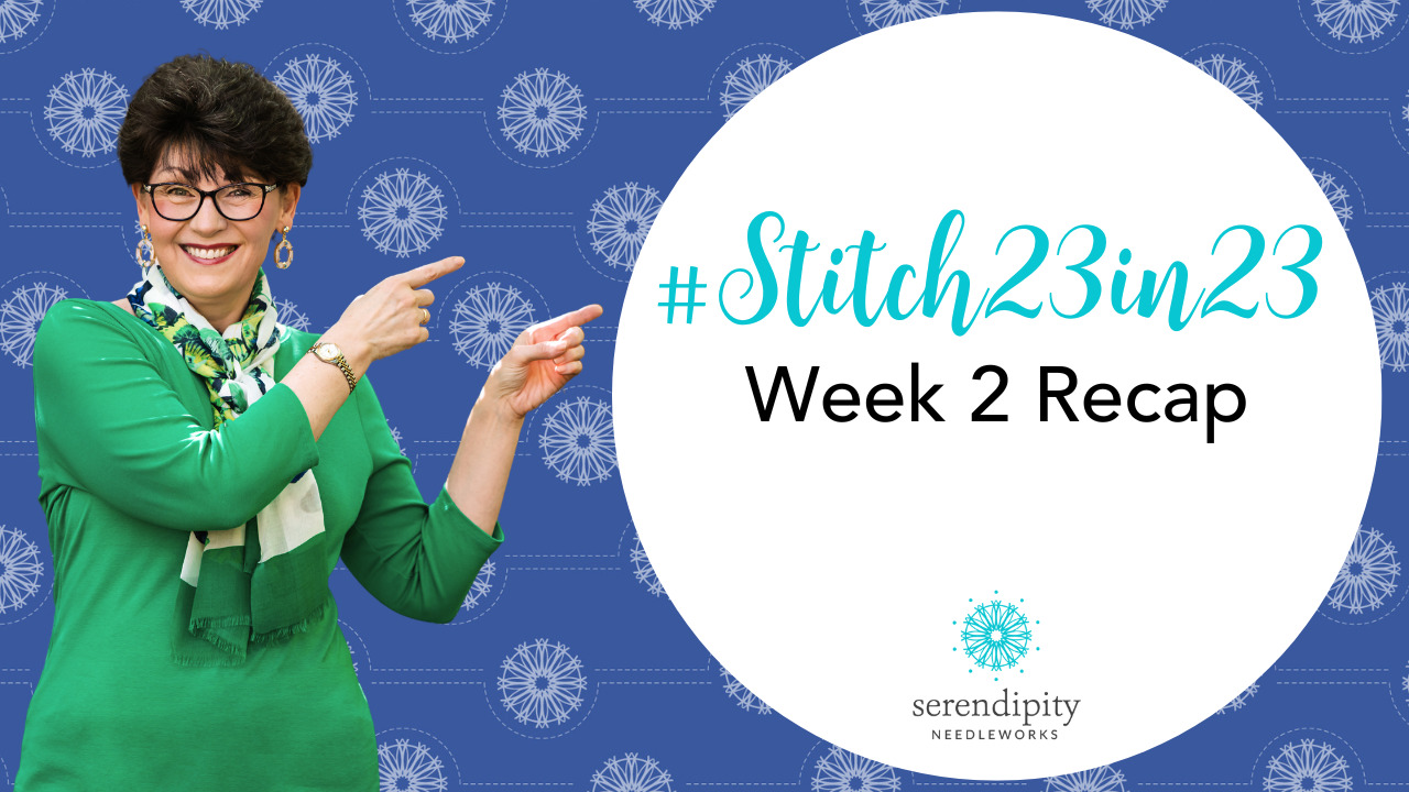 Stitch 23 in 23: Week 2 Recap - Serendipity Needleworks